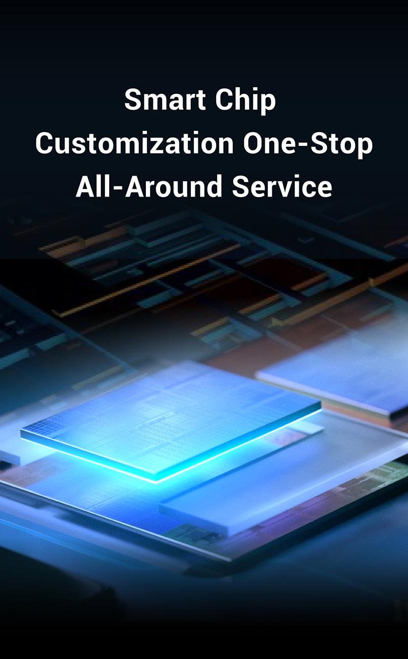 Custom ASIC - INNOSILICON